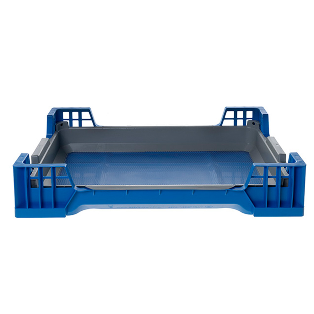 Beekenkamp Verpakkingen. Beetle inlay tray