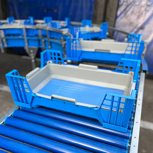 Beekenkamp Verpakkingen. Beetle inlay tray