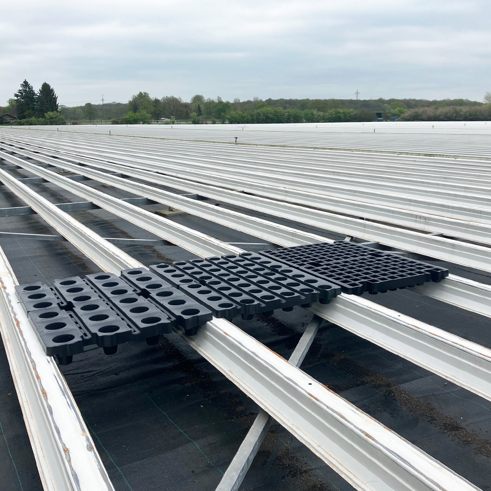 Beekenkamp Verpakkingen. Mobile field tray | 24-gaats